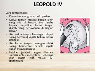 KONSEP PEMERIKSAAN FISIK IBU HAMIL.pptx