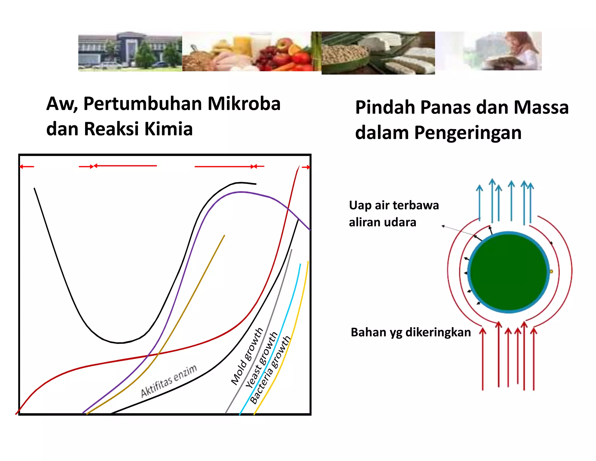konsep pengeringan (1).pptx