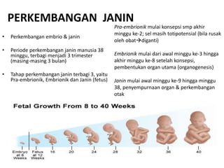 Konsep penggunaan obat untuk ibu hamil dan menyusui | PPTX