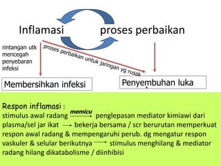 KONSEP RADANG.pptx
