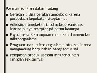 KONSEP RADANG dan proses patofisiologi radang.ppt