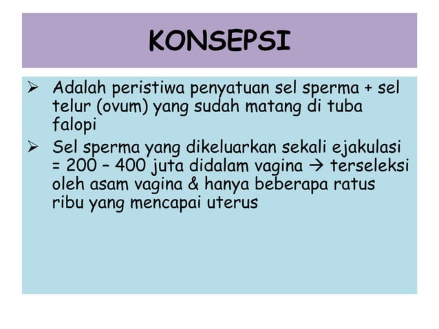 Konsepsi | PPTX