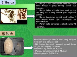 Konservasi bulian kelompok 3 Univ Jambi-Prodi Matematika | PPT