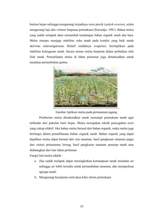 Konservasi mekanik dan kimia | DOCX