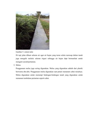 Konservasi tanah dan air | PDF