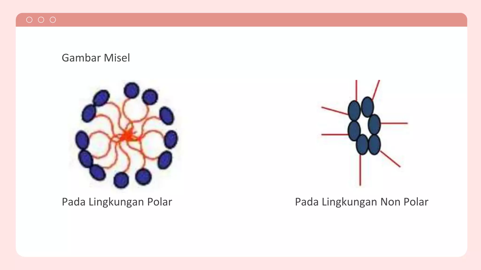 Konsetrasi Misel Kritis & Proses Terbentuknya Misel_ Widya Ramadhani ...