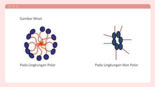 Konsetrasi Misel Kritis & Proses Terbentuknya Misel_ Widya Ramadhani ...