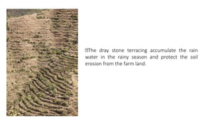 KONSO VERNACULAR ARCHITECTURE ppt.pptx