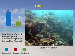 Konstantin tkachenko | PPTX | Zoos & Aquariums | Attractions