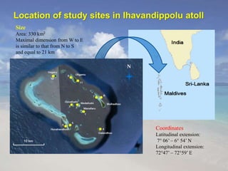 Konstantin tkachenko | PPTX | Zoos & Aquariums | Attractions