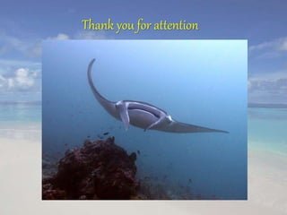 Konstantin tkachenko | PPTX | Zoos & Aquariums | Attractions