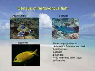 Konstantin tkachenko | PPTX | Zoos & Aquariums | Attractions