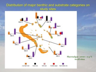Konstantin tkachenko | PPTX | Zoos & Aquariums | Attractions
