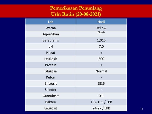 konsulan brili 21 agustus.pptx