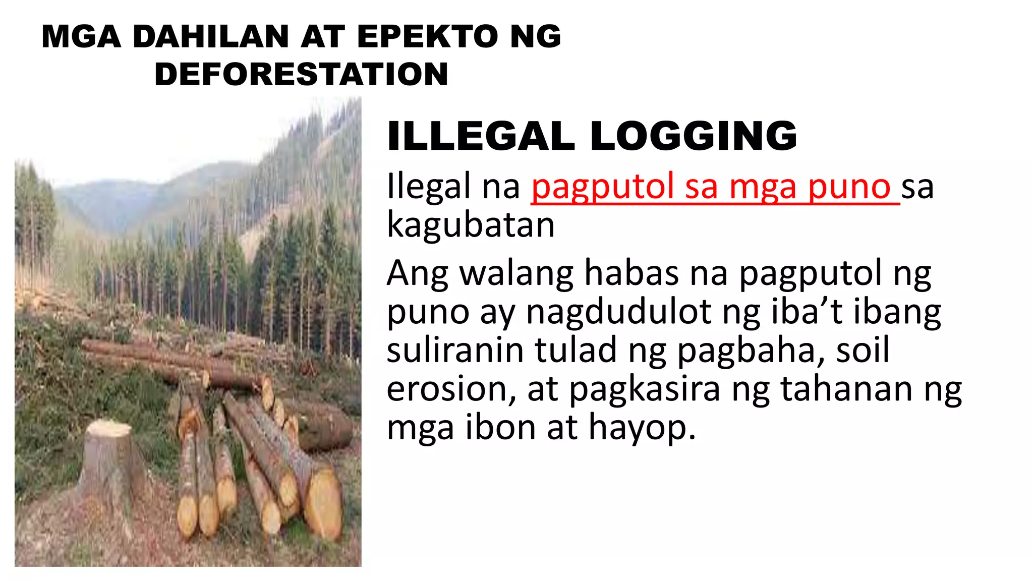 Kontemporaryong Isyu-WEEK 2 - with QUIZ.pptx