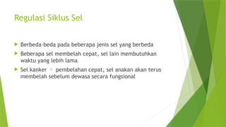 KONTROL GENETIK MEIOSIS sel pada tanaman.pptx