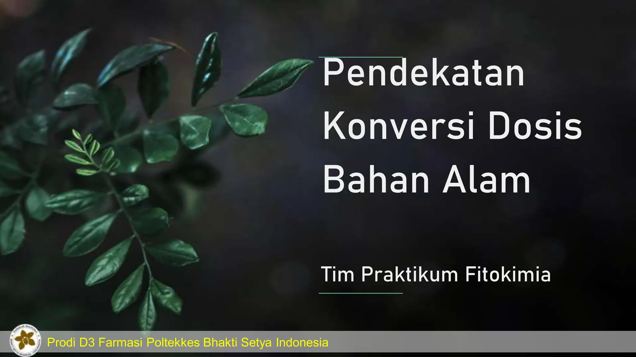 pendekatan konversi dosis bahan alam farmasi | PDF