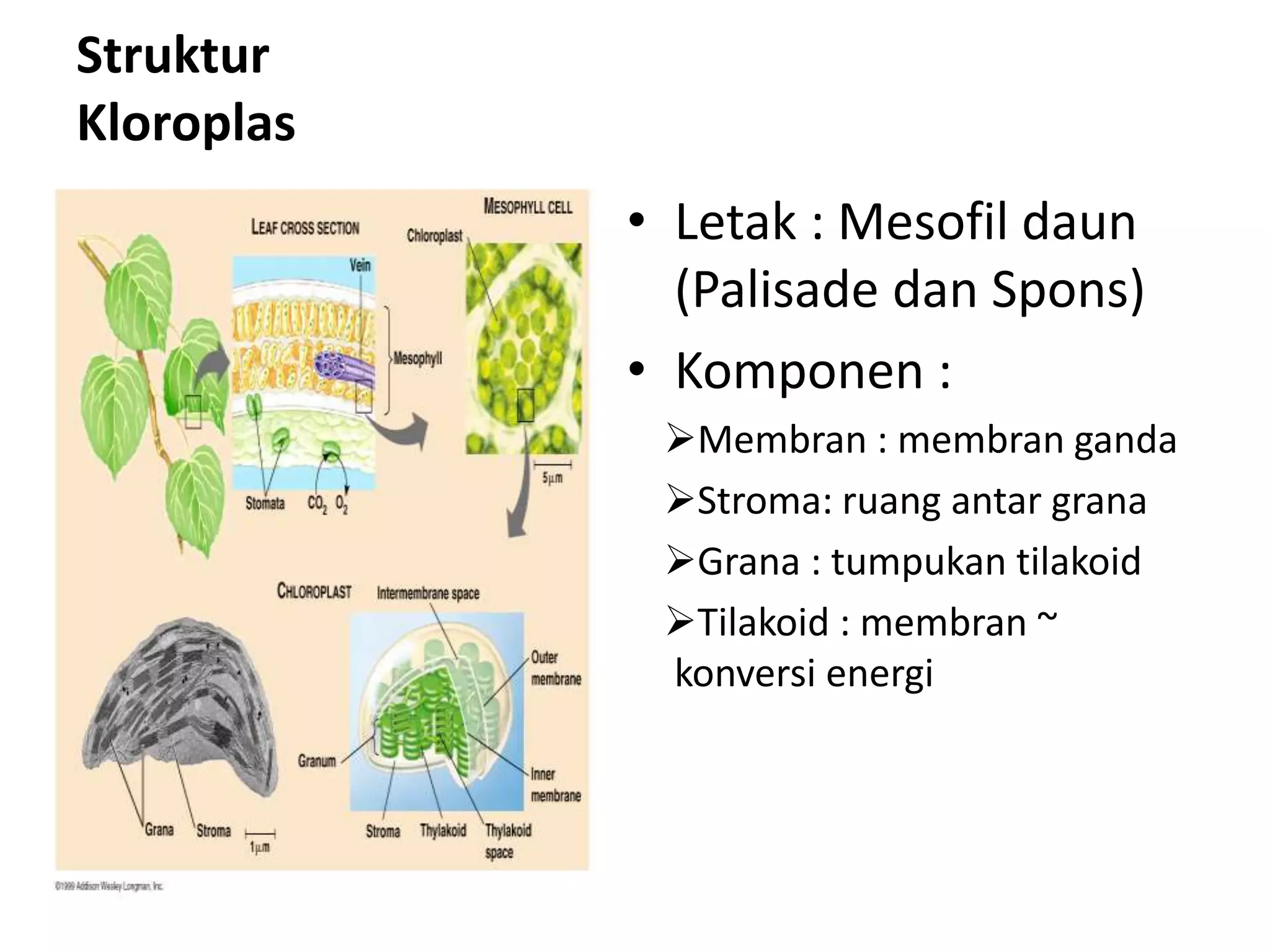 Konversi (energi) | PPTX