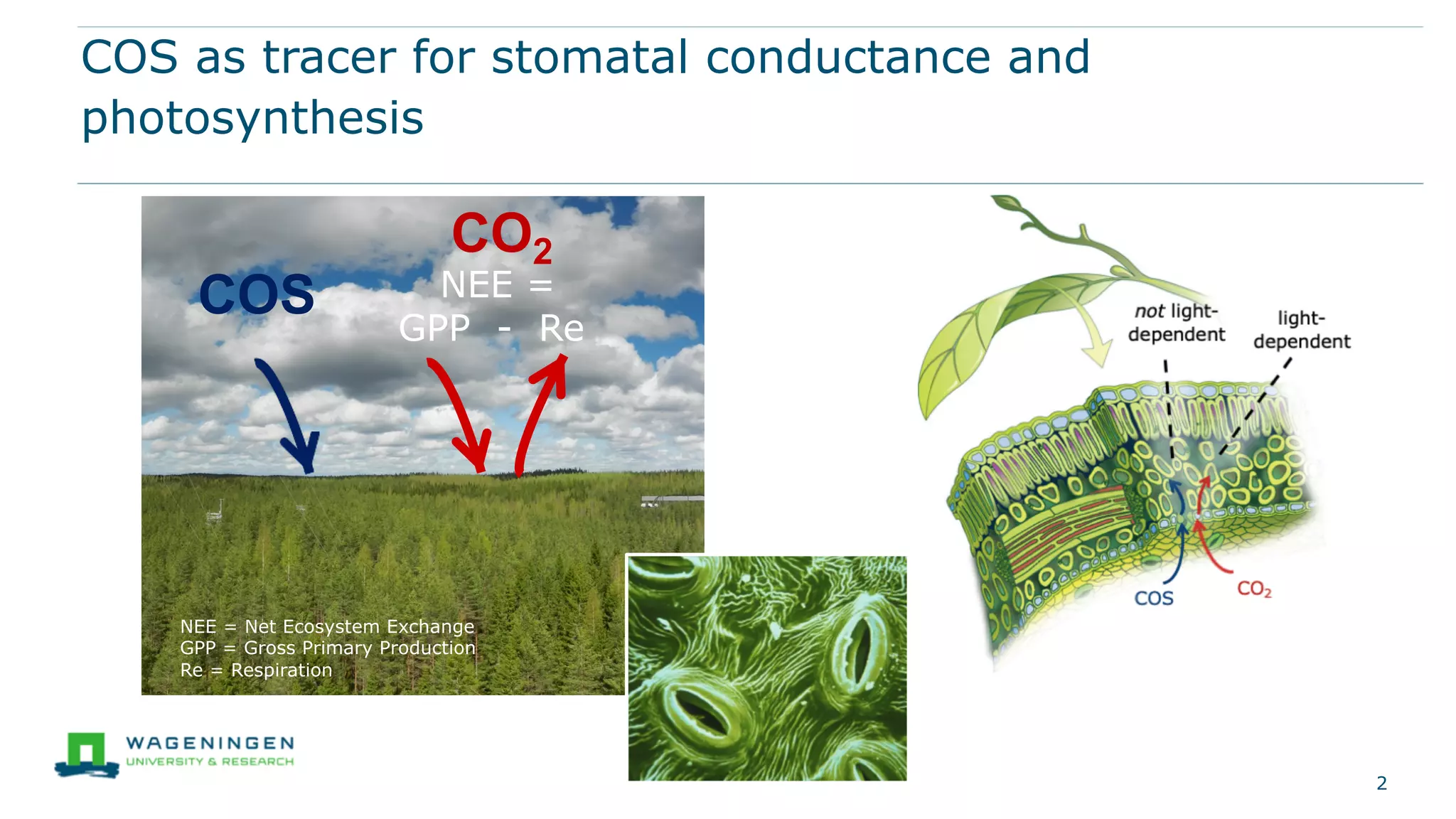 Kooijmans, Linda: Validation and development of carbonyl sulfide ...