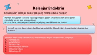 Sistem koordinasi pada manusia, kelenjar endokrin | PPT