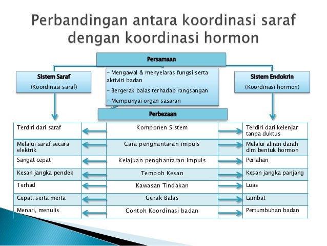 Koordinasi antara sistem saraf dengan sistem endokrin Koordinasi antara sistem saraf dengan sistem endokrin