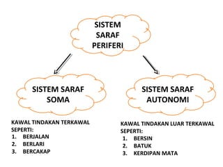 Koordinasi badan | PPT