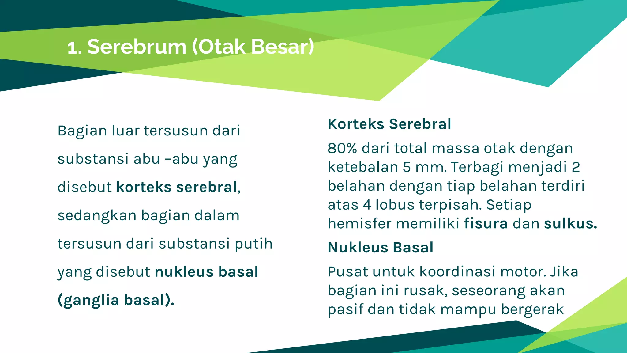 PPT Sistem Koordinasi Manusia Biologi Kelas XI | PPTX