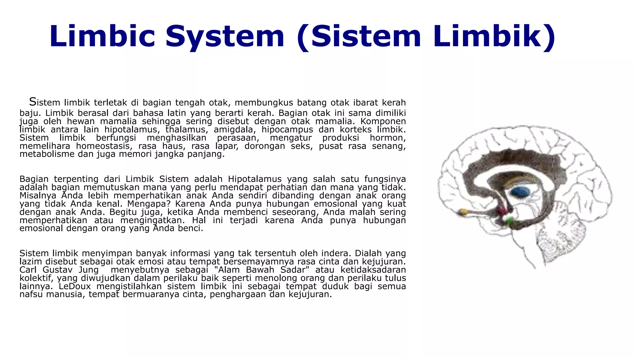 sistem koordinasi manusia | PPTX
