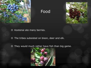 Kootenai tribe abby and rachael | PPTX