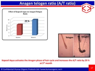 Kopexil aqua- 100 % water soluble hair growth stimulant | PPTX