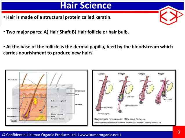 Kopexil aqua- 100 % water soluble hair growth stimulant | PPTX