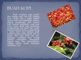 Kopi | PPTX