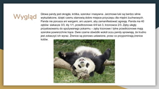 Hi Panda! | PDF