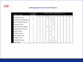 Kopirox n ppt | PPSX