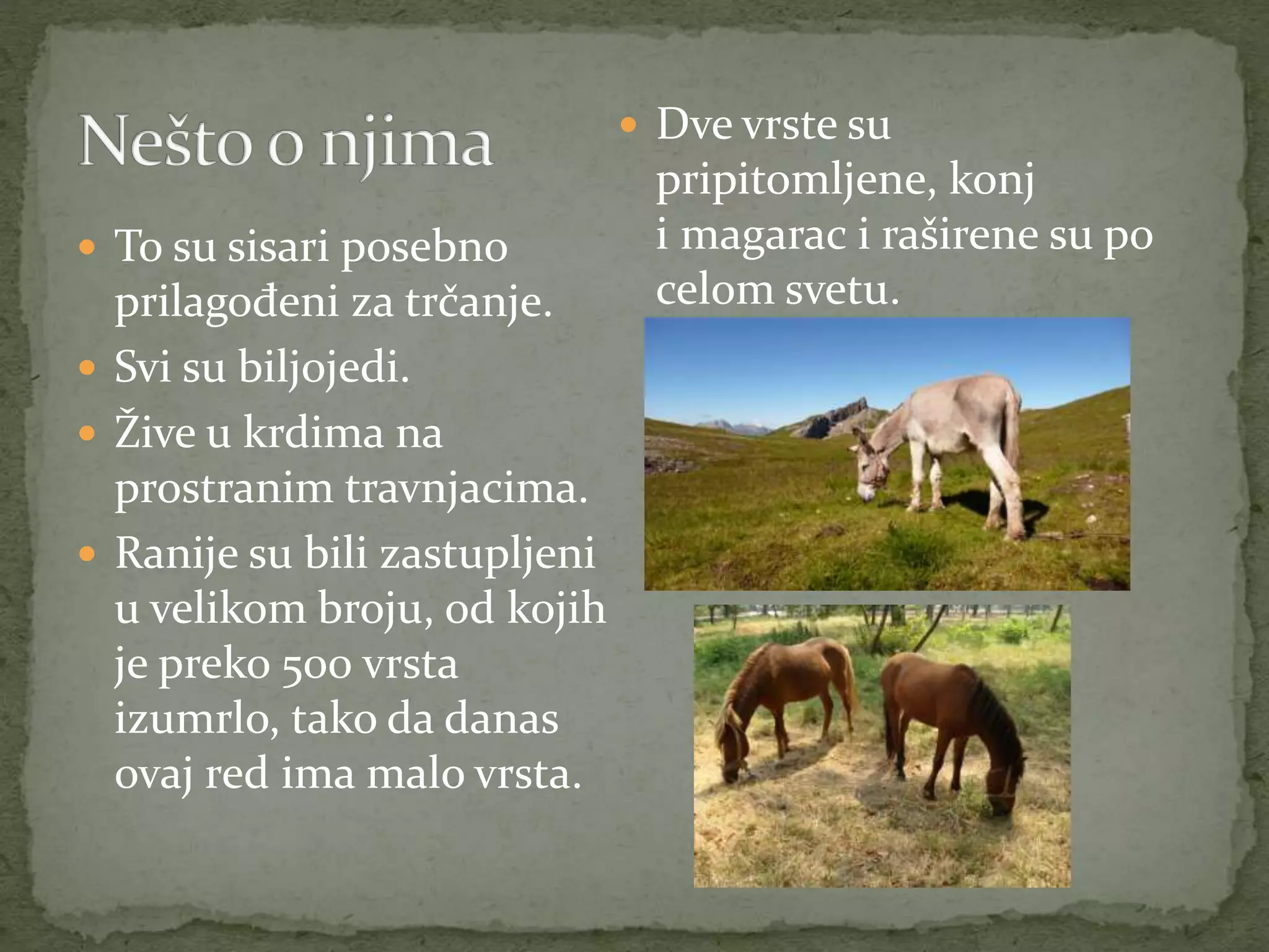Kopitari | PPT