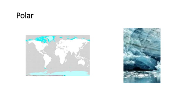 Koppen classification system | PPTX | Weather | Science