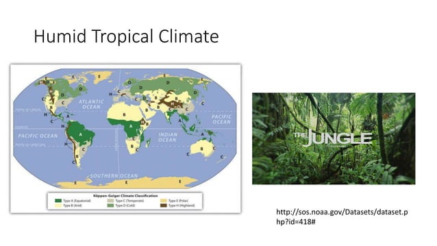 Koppen classification system | PPTX | Weather | Science