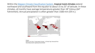 Koppen classification system | PPTX | Weather | Science