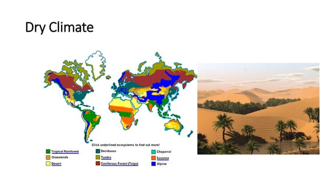 Koppen classification system | PPTX | Weather | Science