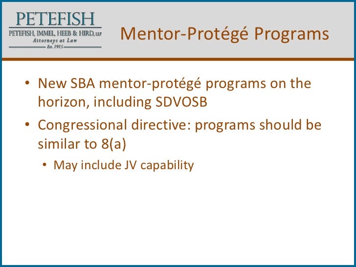 New sba mentor protege program - geogulu