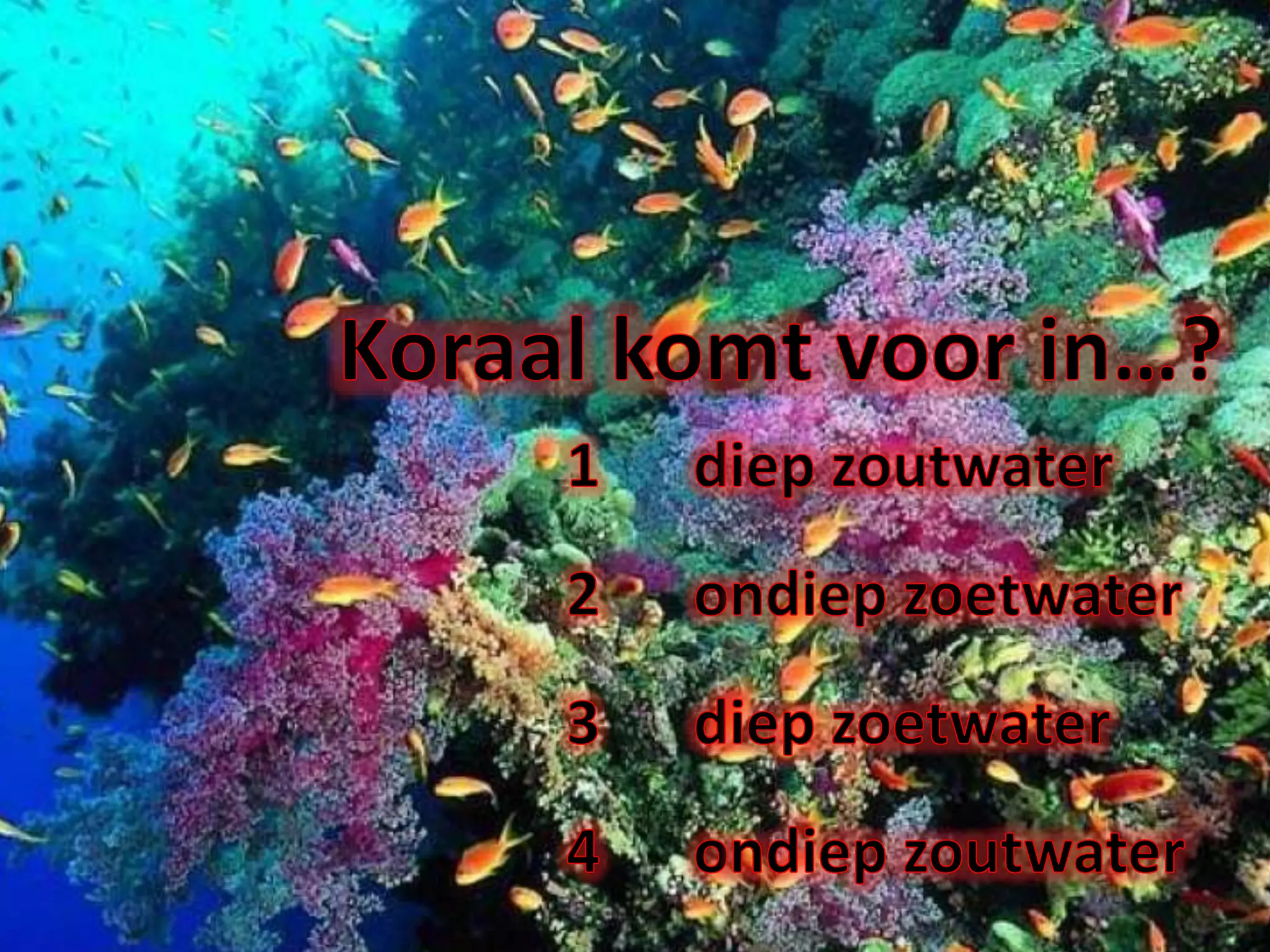 Koraal | PPTX