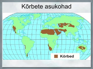 Korbed | PPT