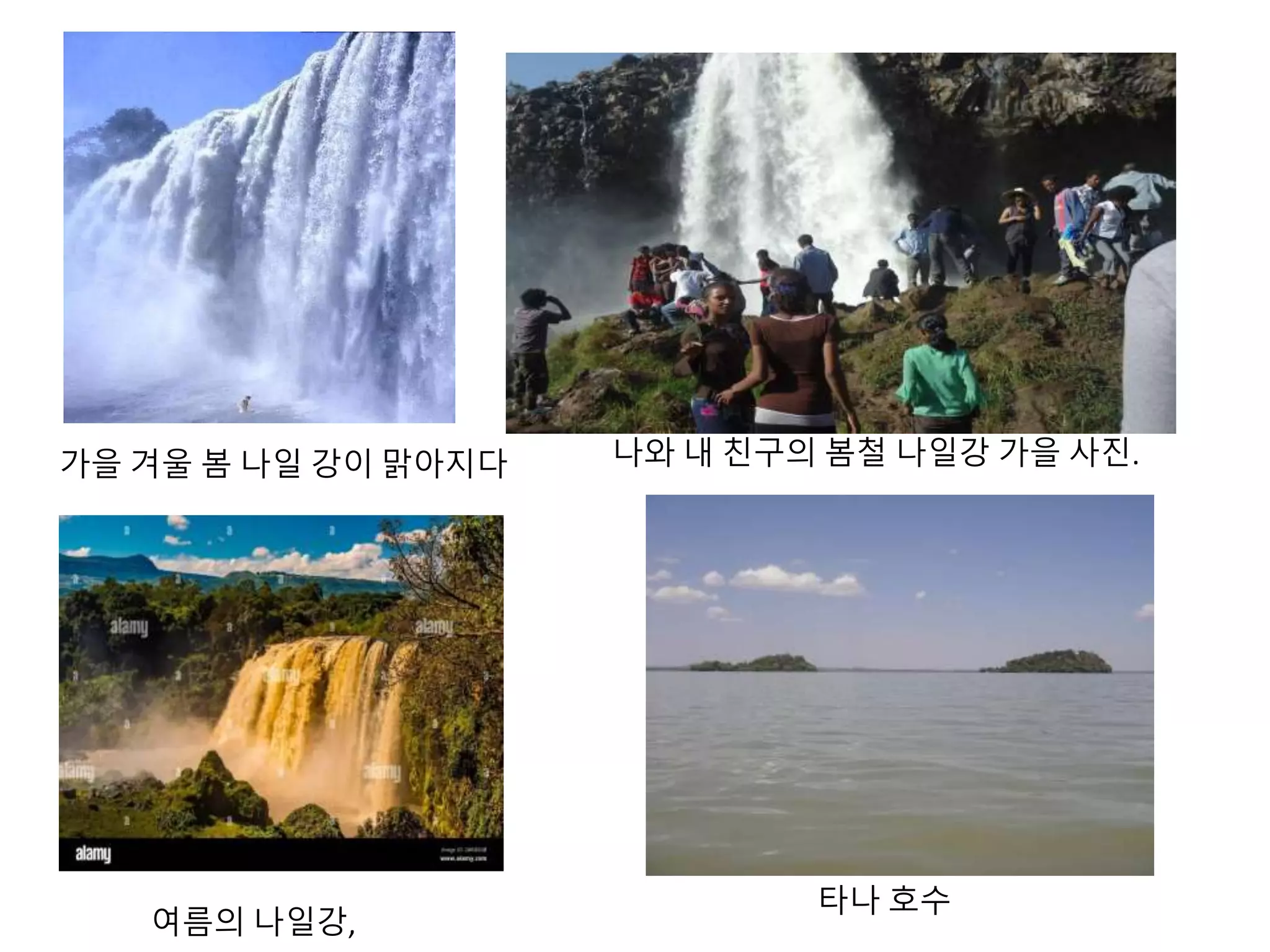 Korean homework (mesele) | PPT