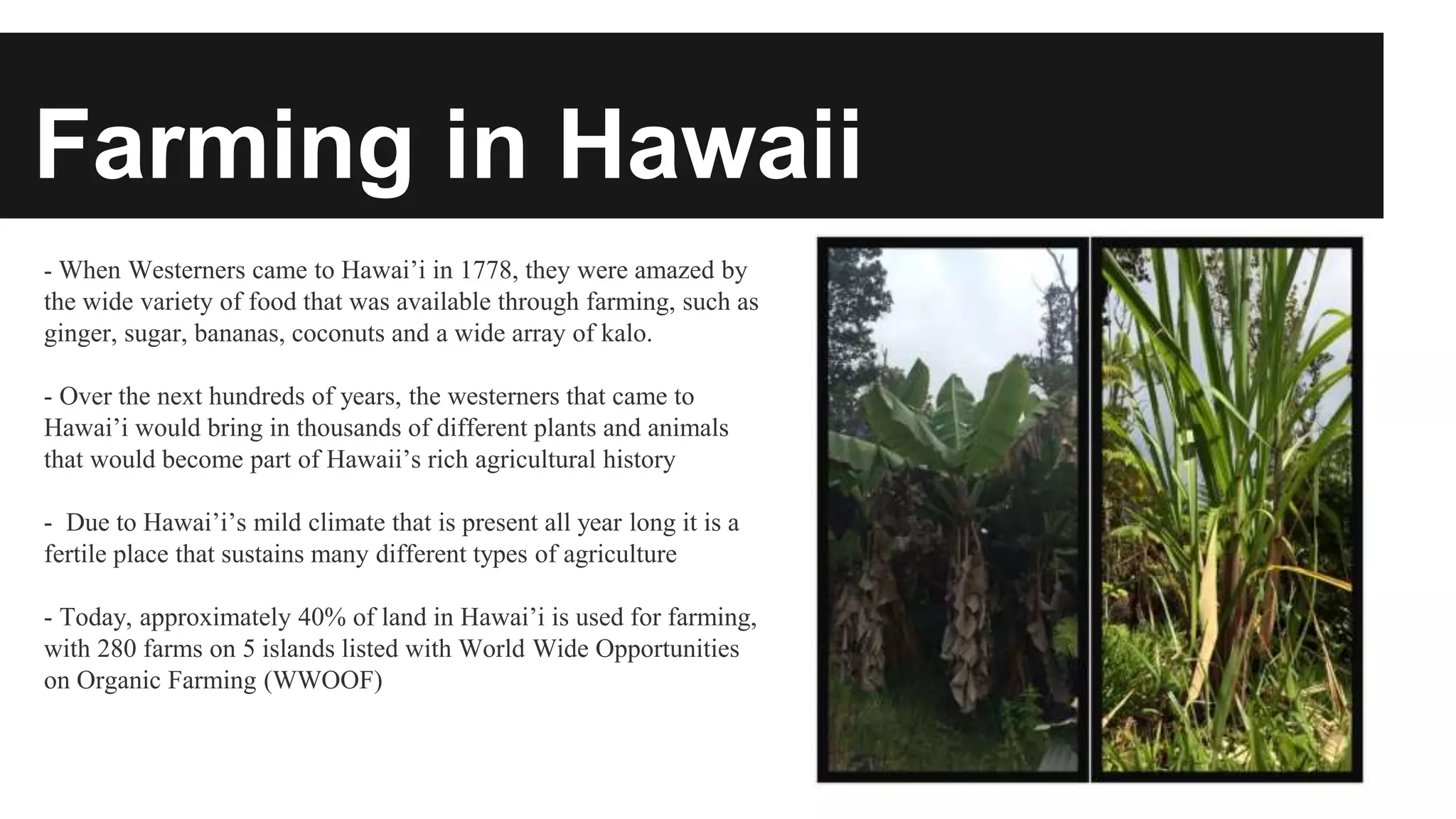 Korean natural farming sum 14 | PPTX