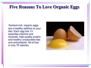 Kor eggs | PPT