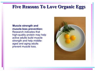 Kor eggs | PPT