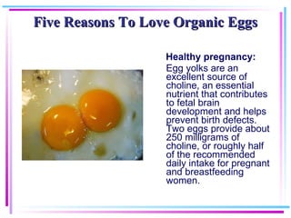Kor eggs | PPT