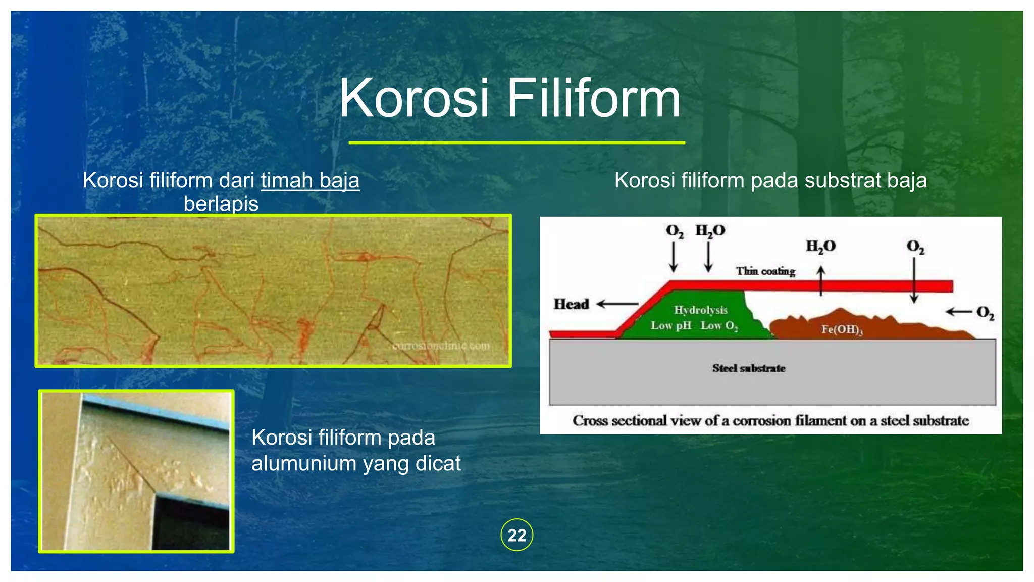 jenis-jenis korosi | PPTX