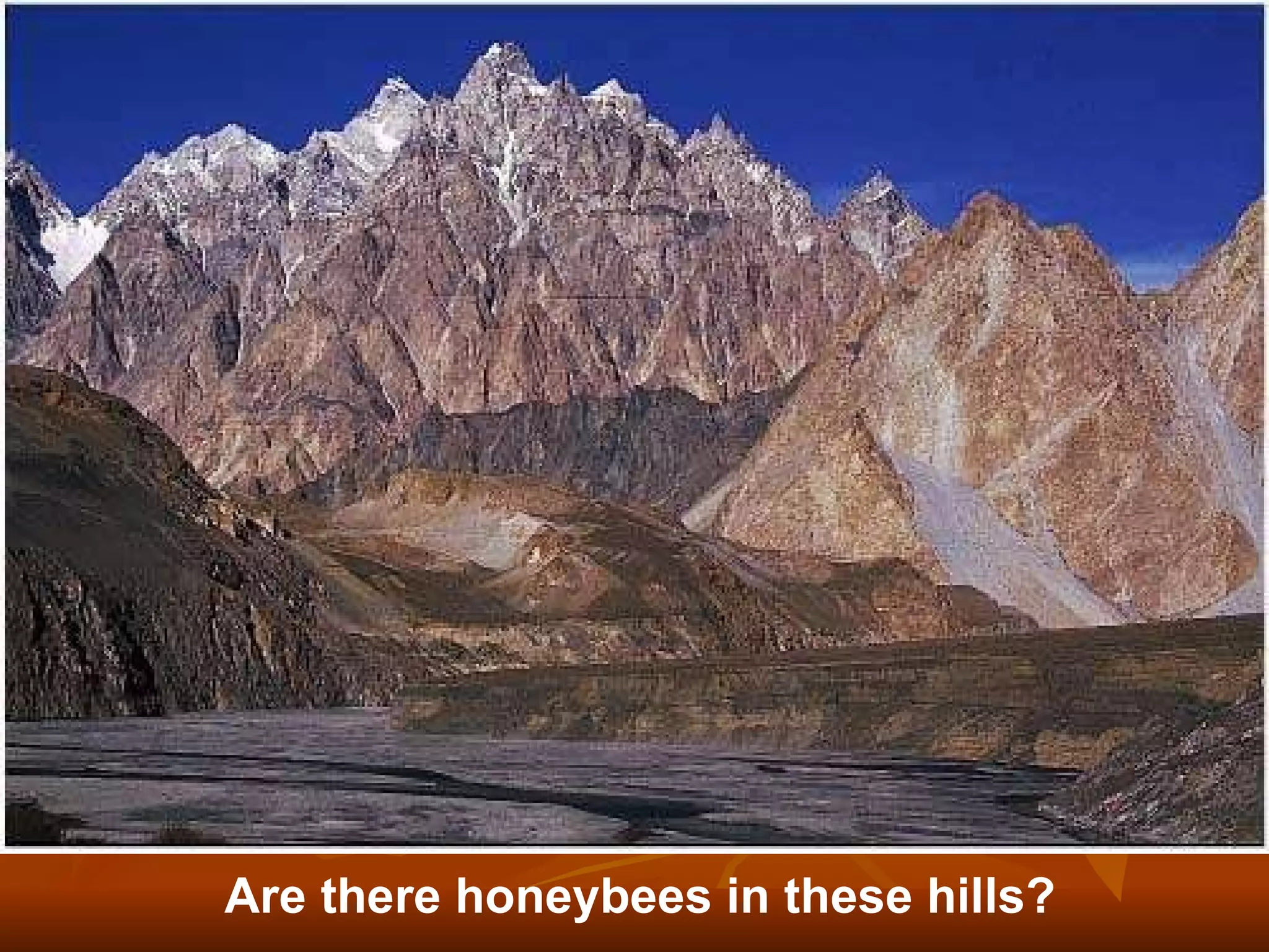 Korphe Pollination | PPT