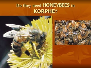 Korphe Pollination | PPT